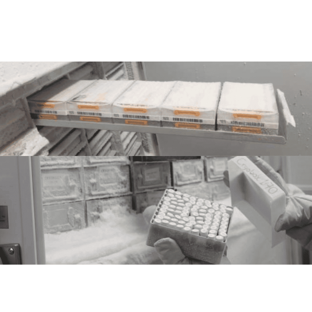 Optimal Freezer Storage Capacity - NBS Scientific