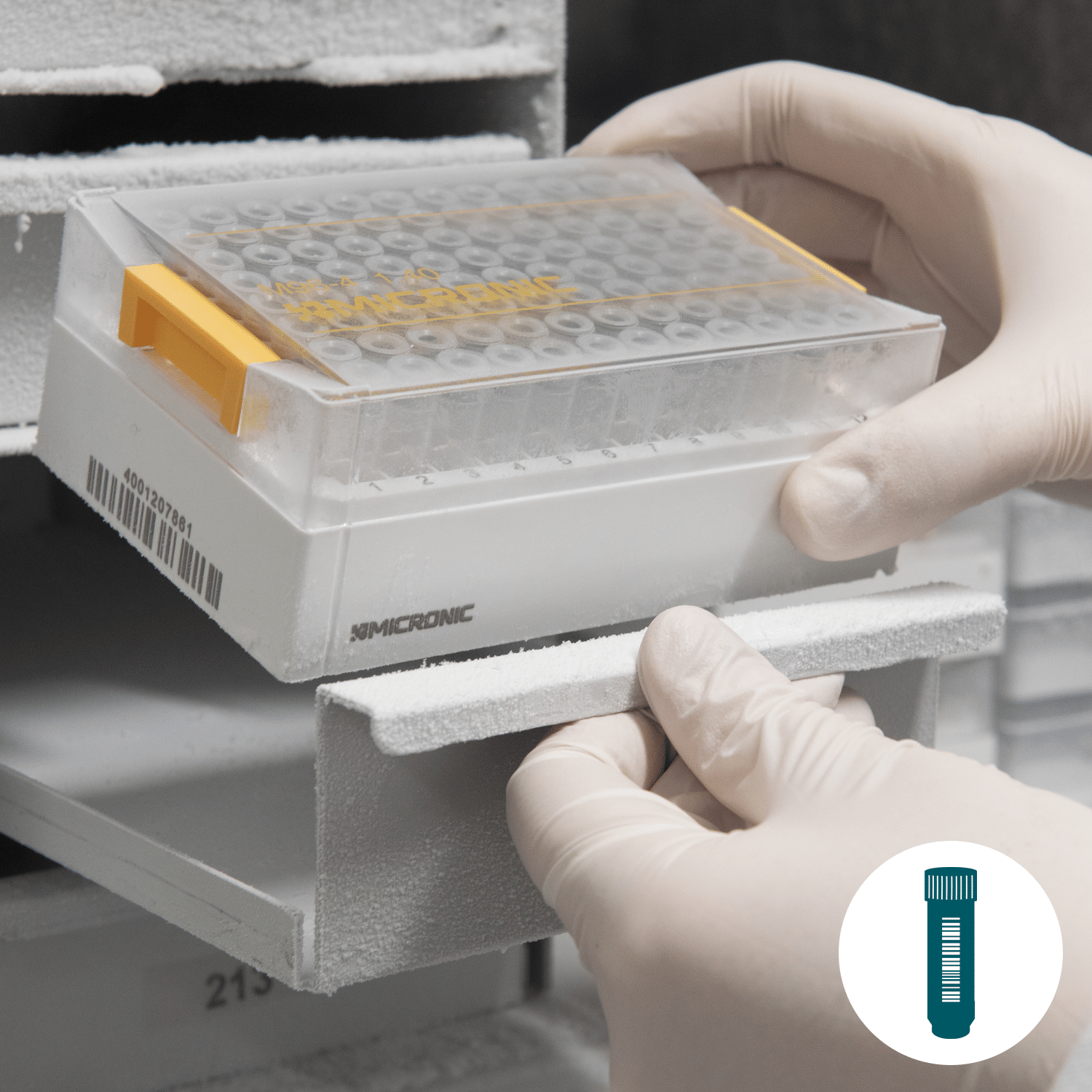 Laboratory Equipment & Lab Instruments - NBS Scientific